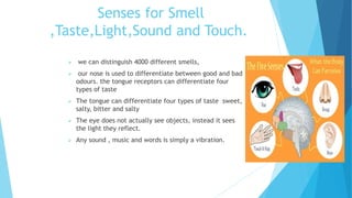 Human anatomy | PPTX