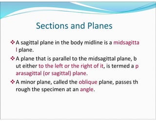 Human Anatomy Complete Notes | PDF