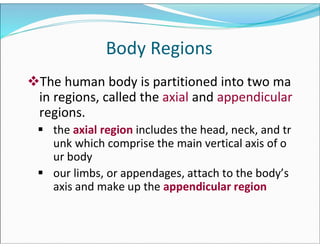 Human Anatomy Complete Notes | PDF