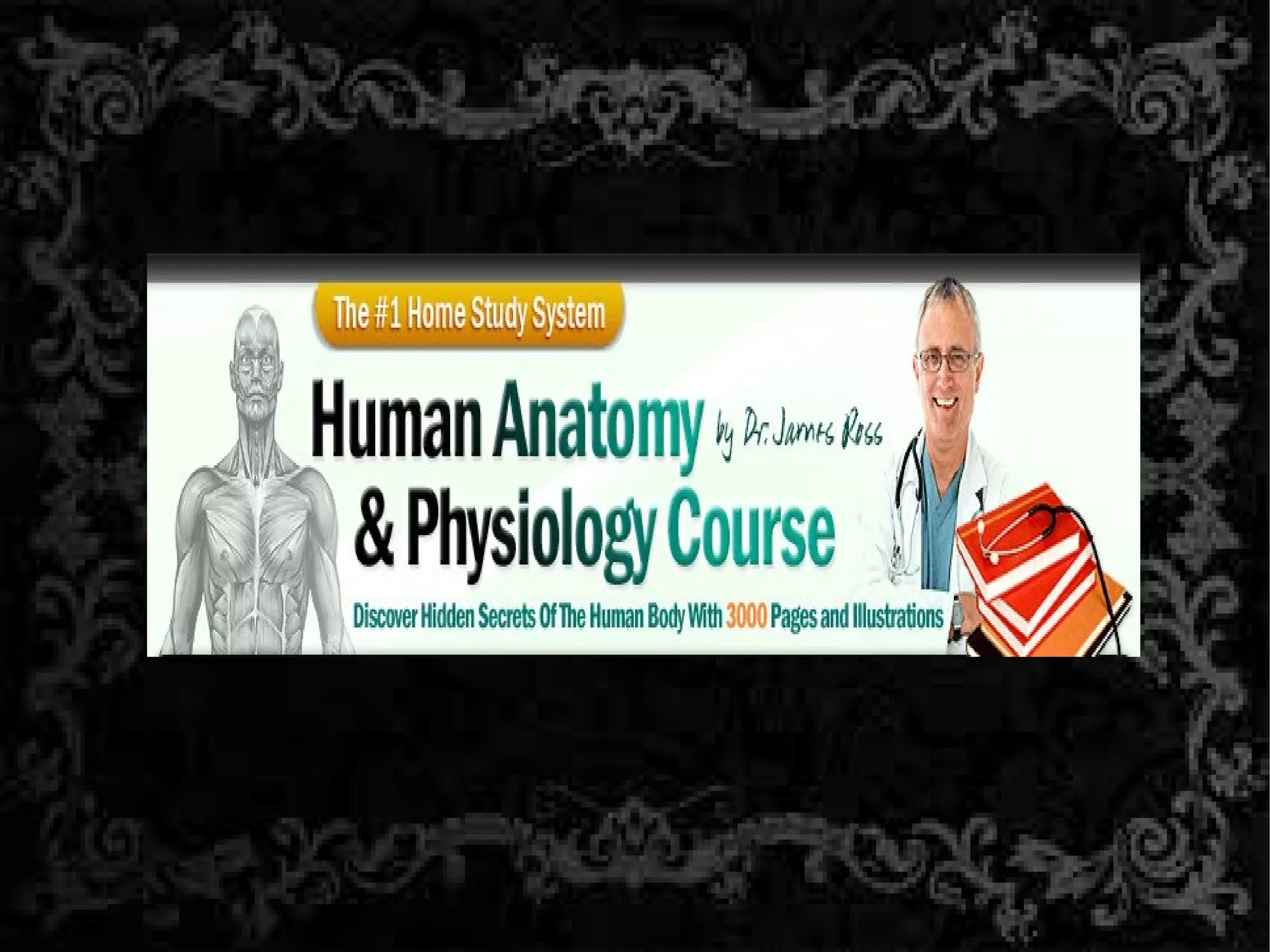 Human Anatomy Course | ODP