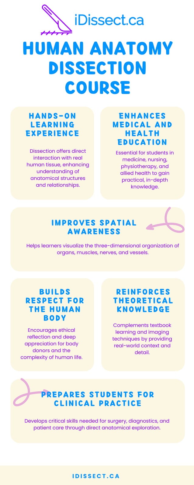 Human Anatomy Dissection Course - idissect.ca