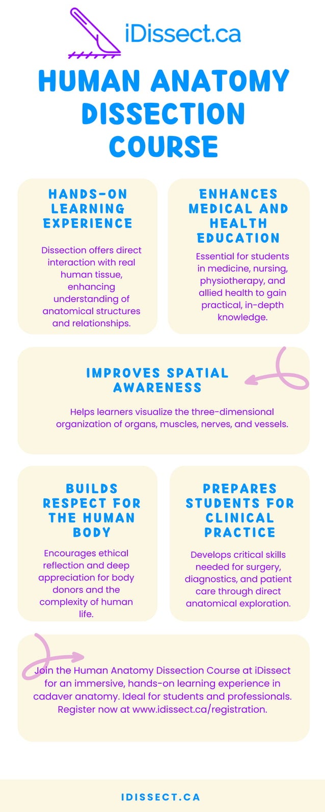 Human Anatomy Dissection Course - idissect.ca
