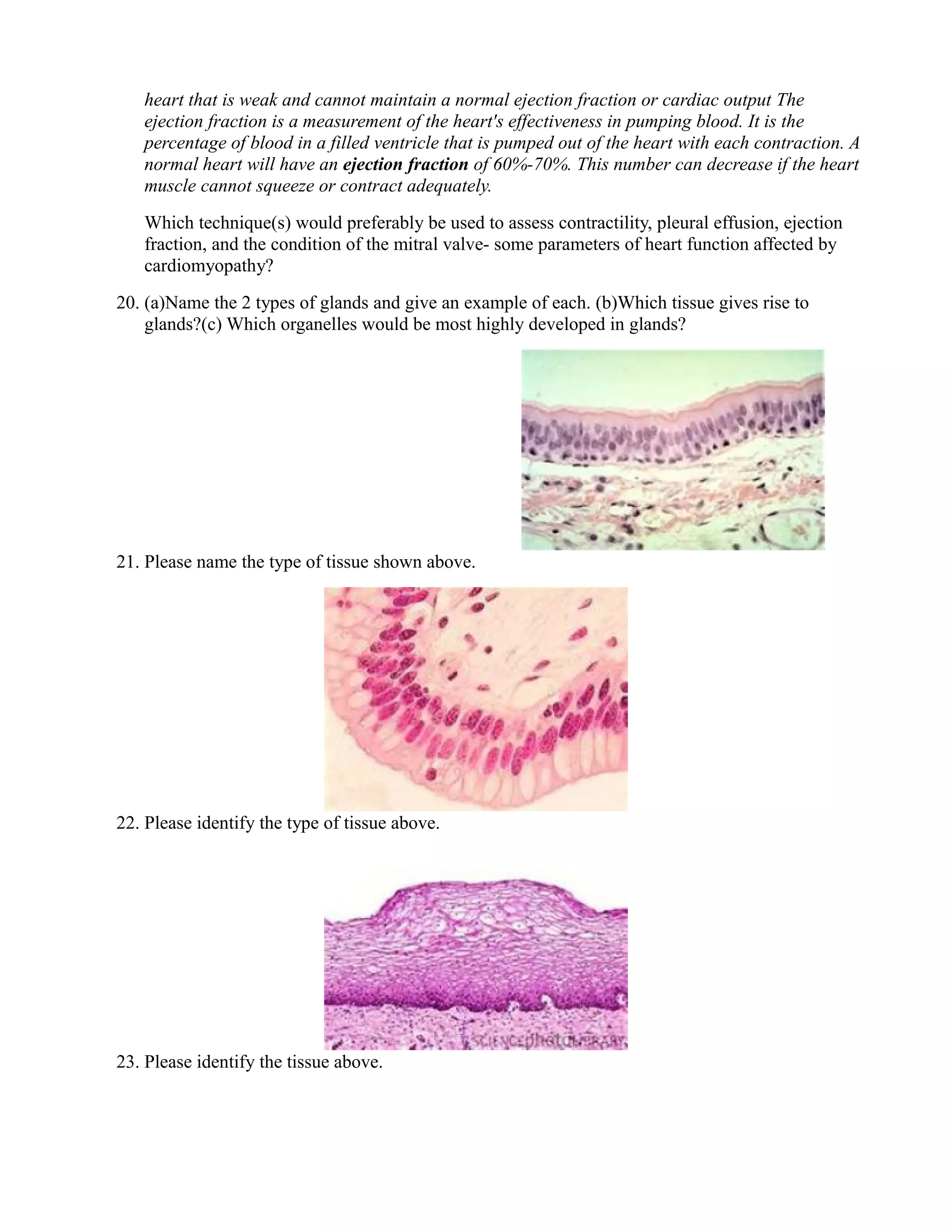 Human anatomy EXAM 1 Cells Tissues Planes Techniques in radiology | PDF