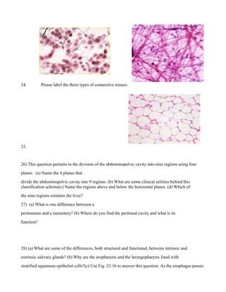 Human anatomy EXAM 1 Cells Tissues Planes Techniques in radiology | PDF