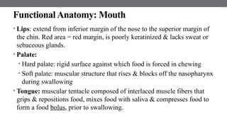 Human Anatomy GIT agriculture university mam maria | PPTX
