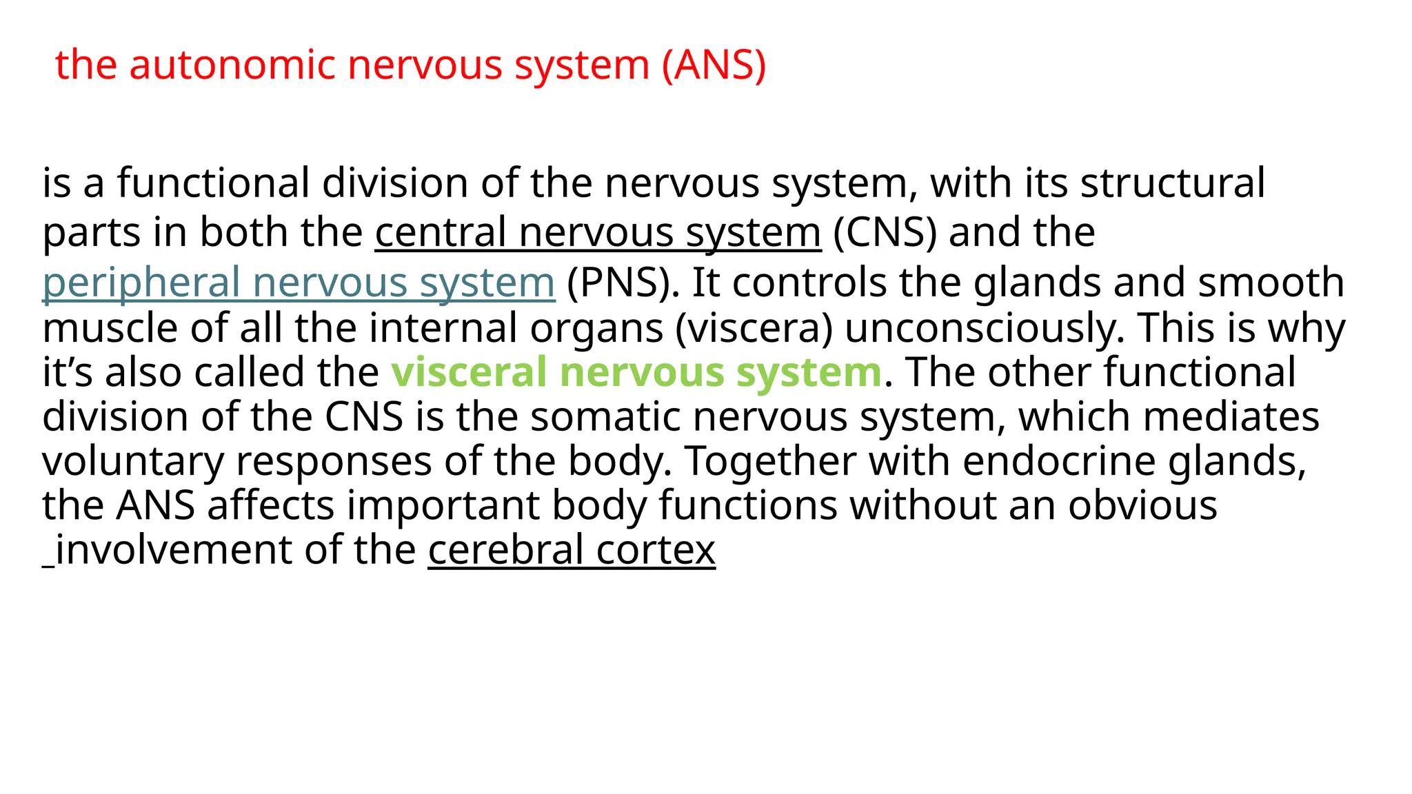 HUMAN ANATOMY Lab.autonomic nervous system | PPTX