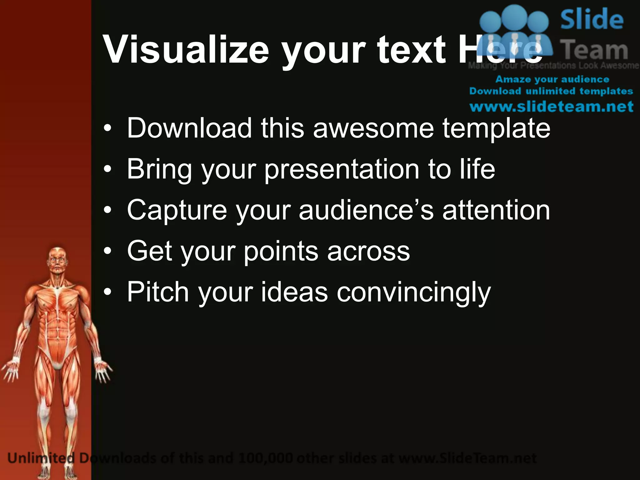 Human anatomy male muscles science power point templates themes and ...