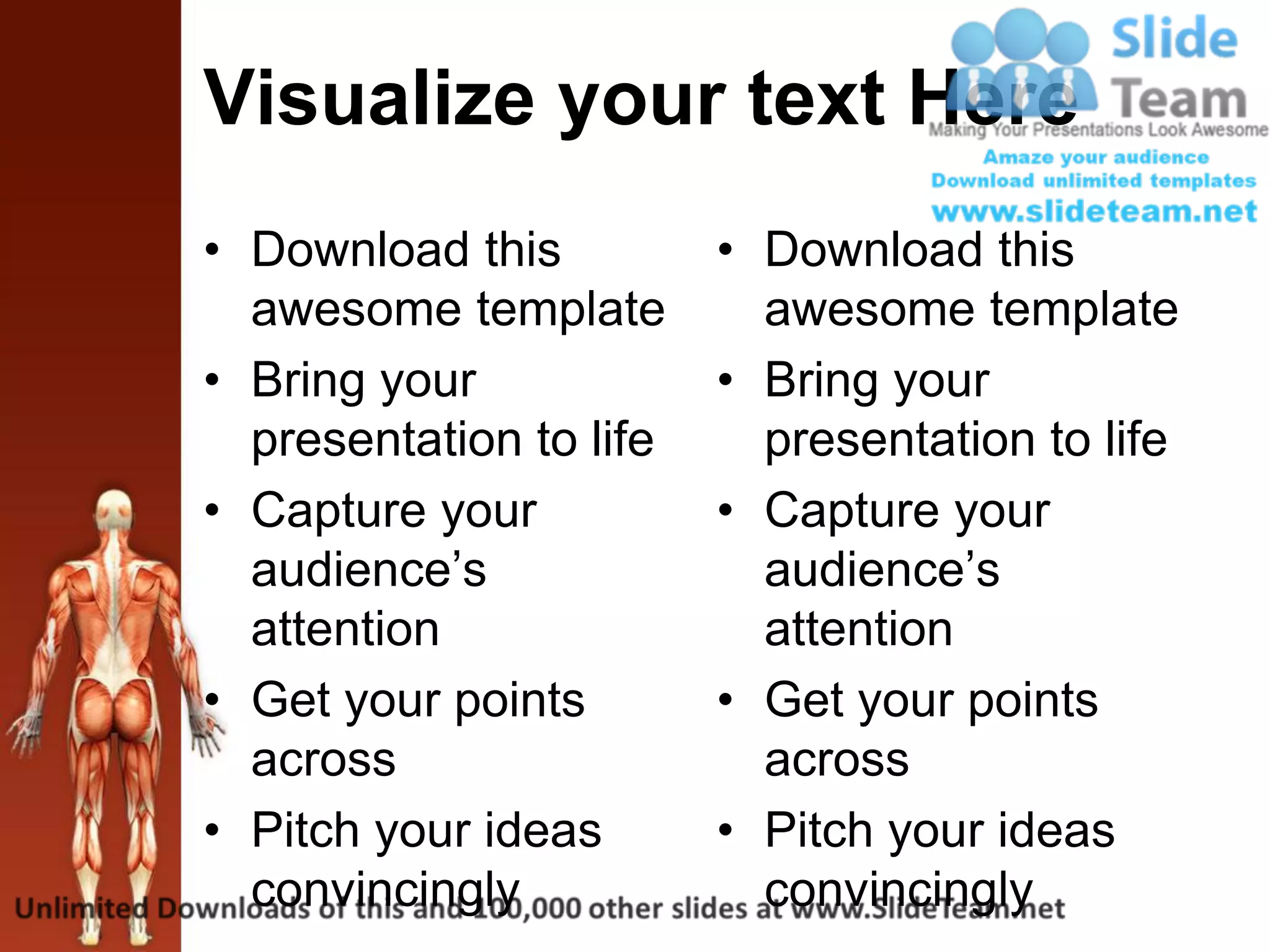 Human anatomy male muscles science power point templates themes and ...