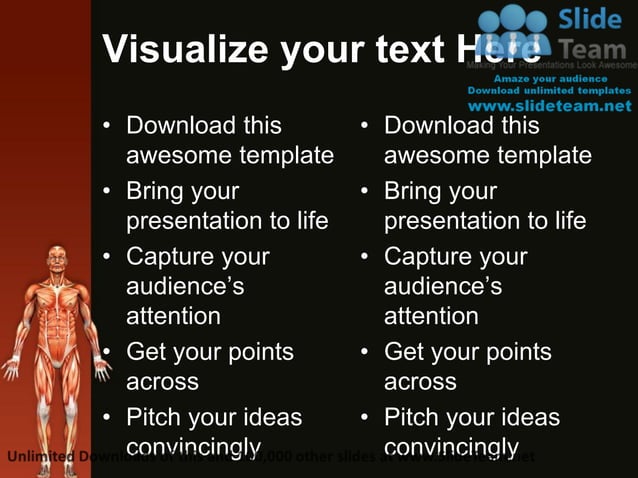 Human anatomy male muscles science power point templates themes and ...