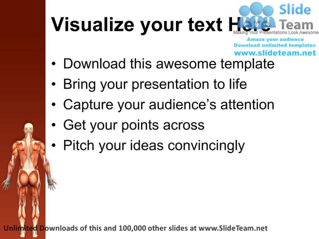 Human anatomy male muscles science power point templates themes and ...