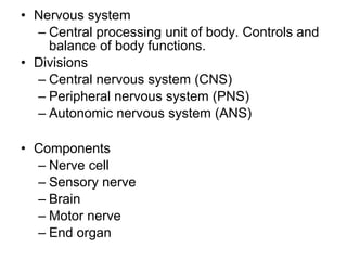 Human anatomy & physiology | PPT