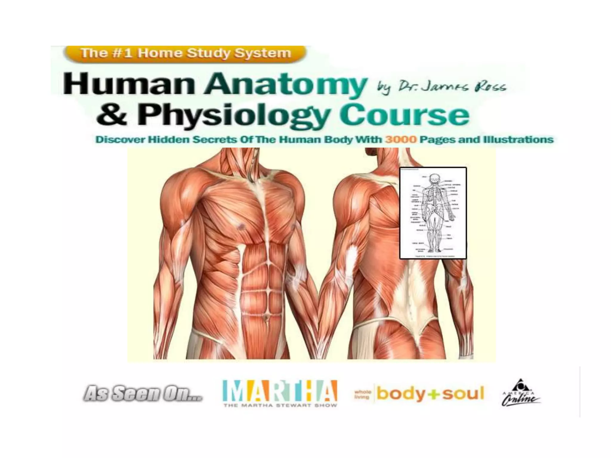 Human Anatomy & Physiology Study Course | PPT