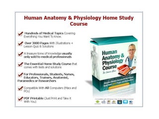 Human Anatomy & Physiology Study Course | PPT