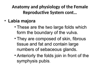 Human anatomy and physiology (Reproductive System) | PPTX