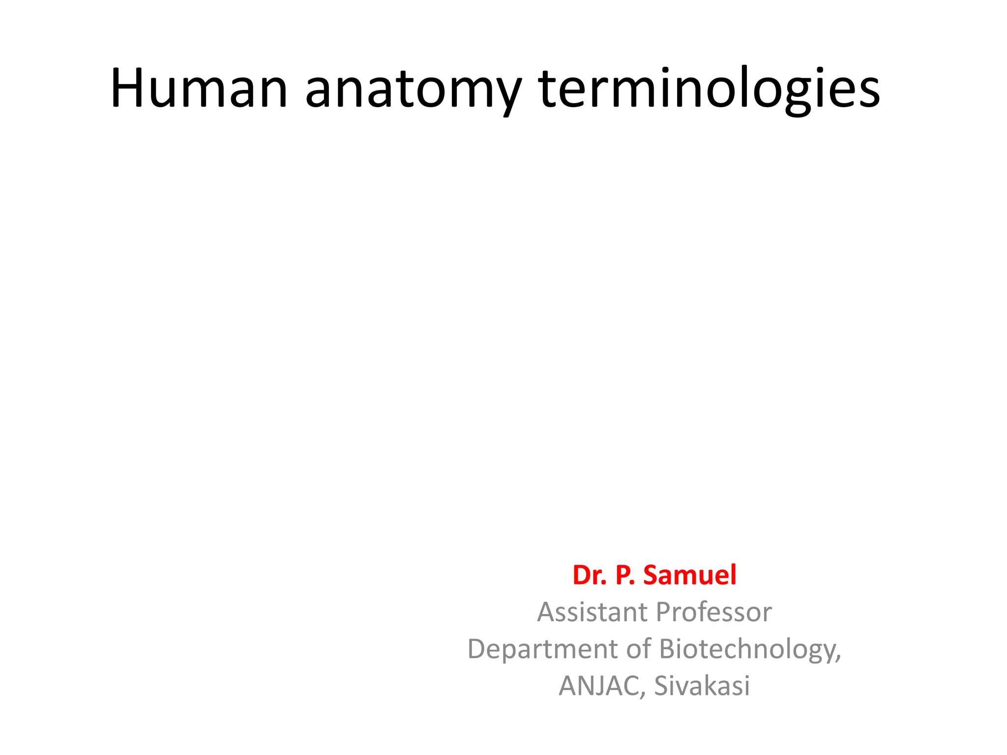 Human anatomy terminologies | PPTX