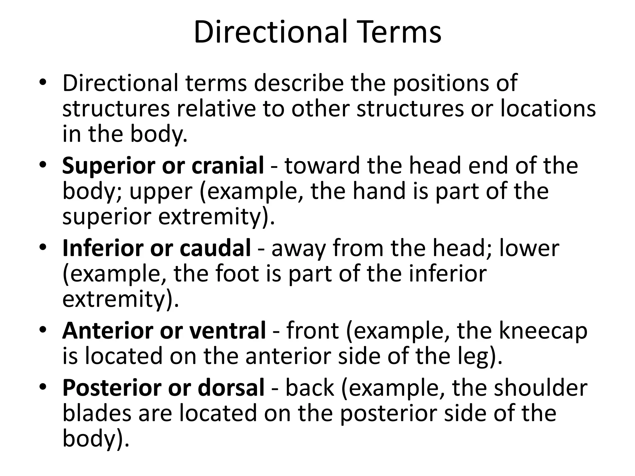 Human anatomy terminologies | PPTX