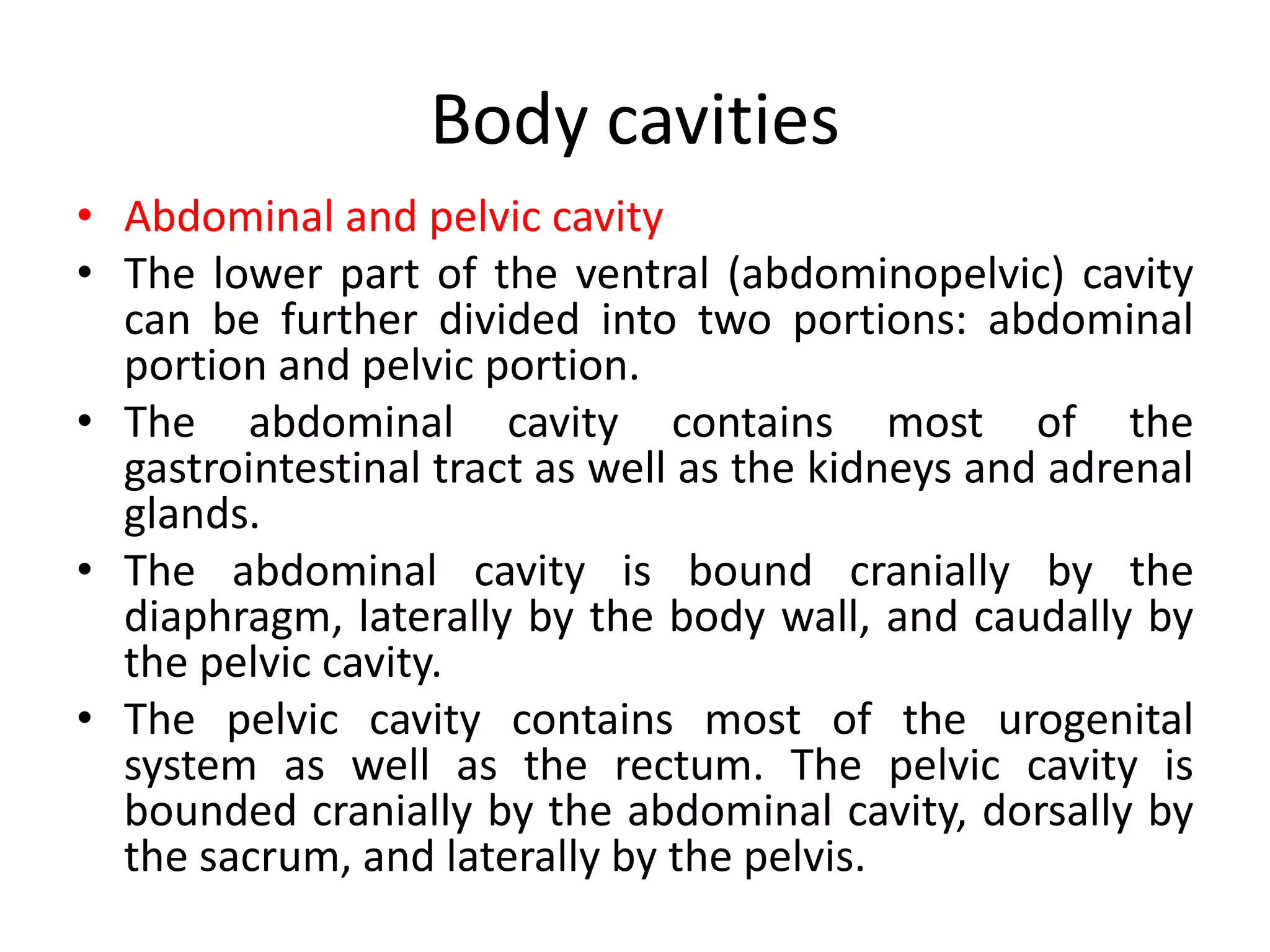 Human anatomy terminologies | PPTX