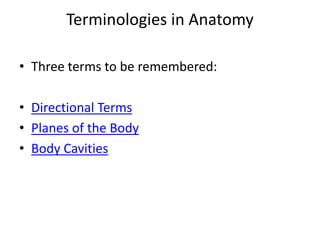 Human anatomy terminologies | PPTX