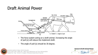 Human and Draft animal Power | PDF