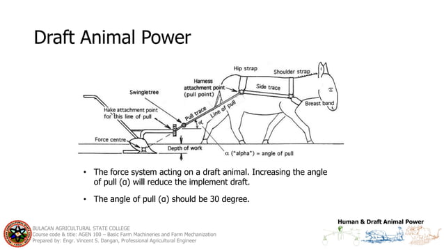 Human and Draft animal Power | PDF