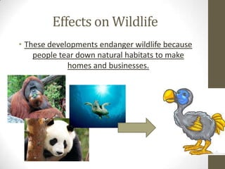 Human and environment interactions | PPTX