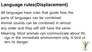 Human&animal communication | PPTX