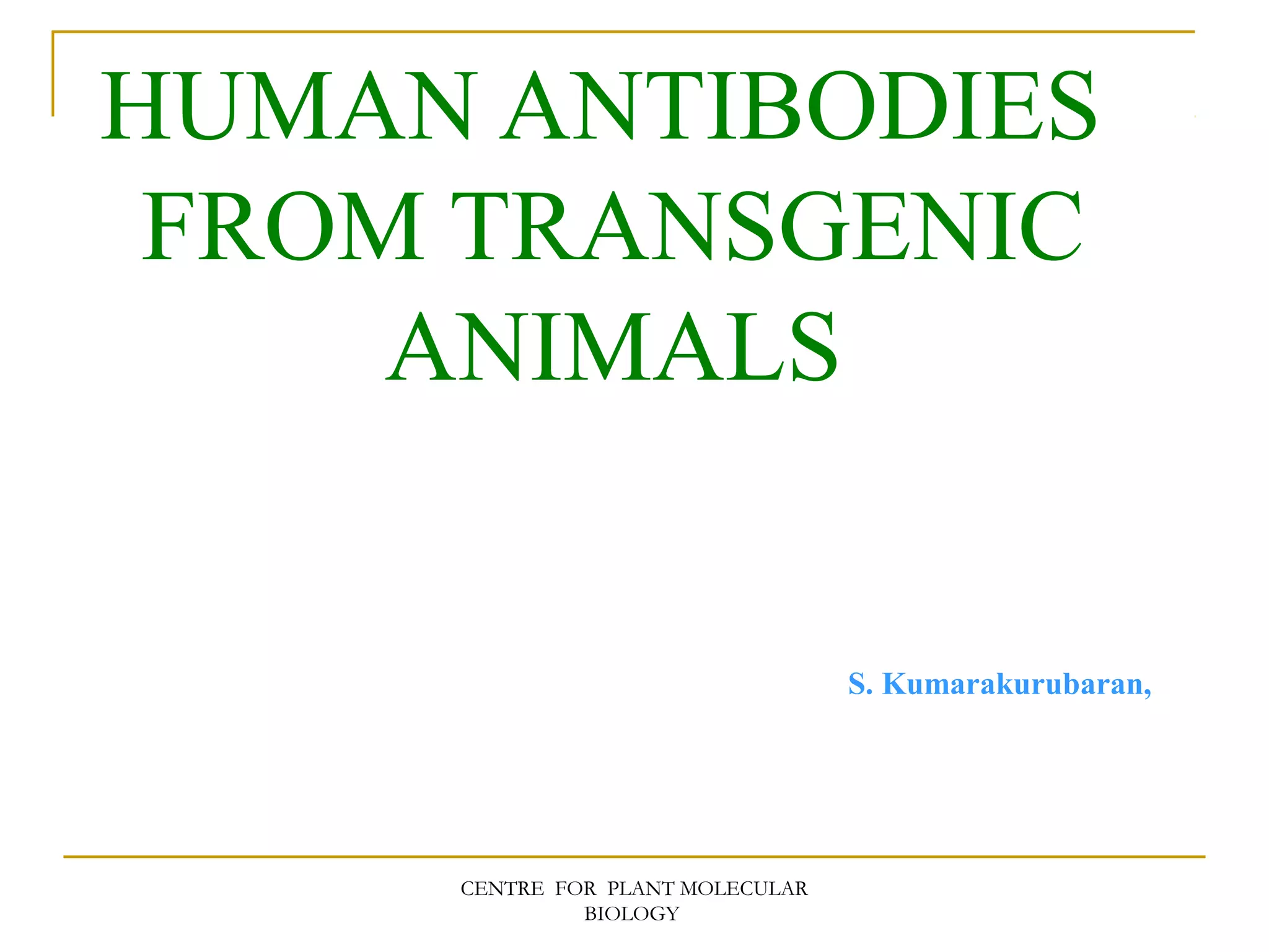 Human antibodies from transgenic animals | PPT