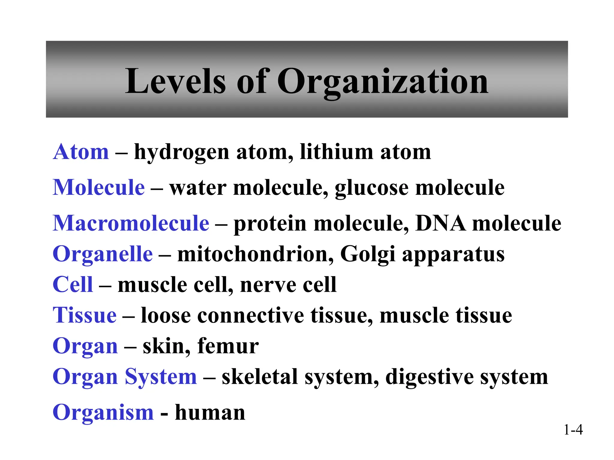 Hole's Human A & P Chapter 1 Power Points.ppt