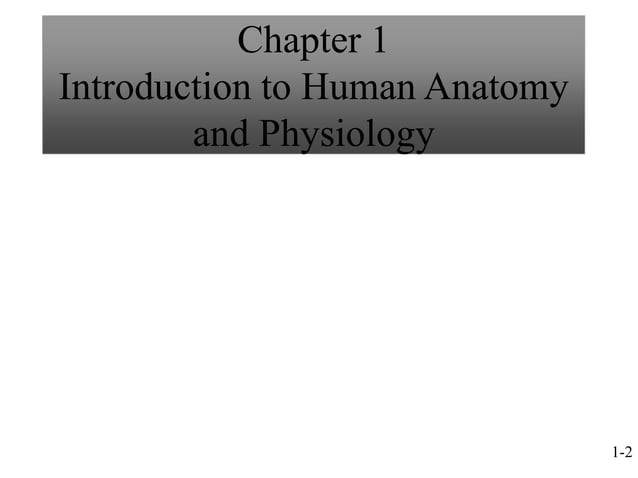 Hole's Human A & P Chapter 1 Power Points.ppt