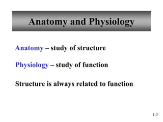 Hole's Human A & P Chapter 1 Power Points.ppt