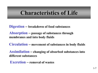 Hole's Human A & P Chapter 1 Power Points.ppt