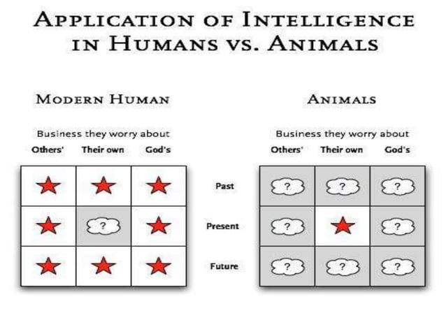 Human are more inteligent tha other animals | PPT
