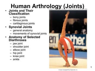 Human Arthrology874389835RUHDD7544F7.ppt