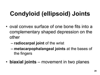 Human Arthrology874389835RUHDD7544F7.ppt