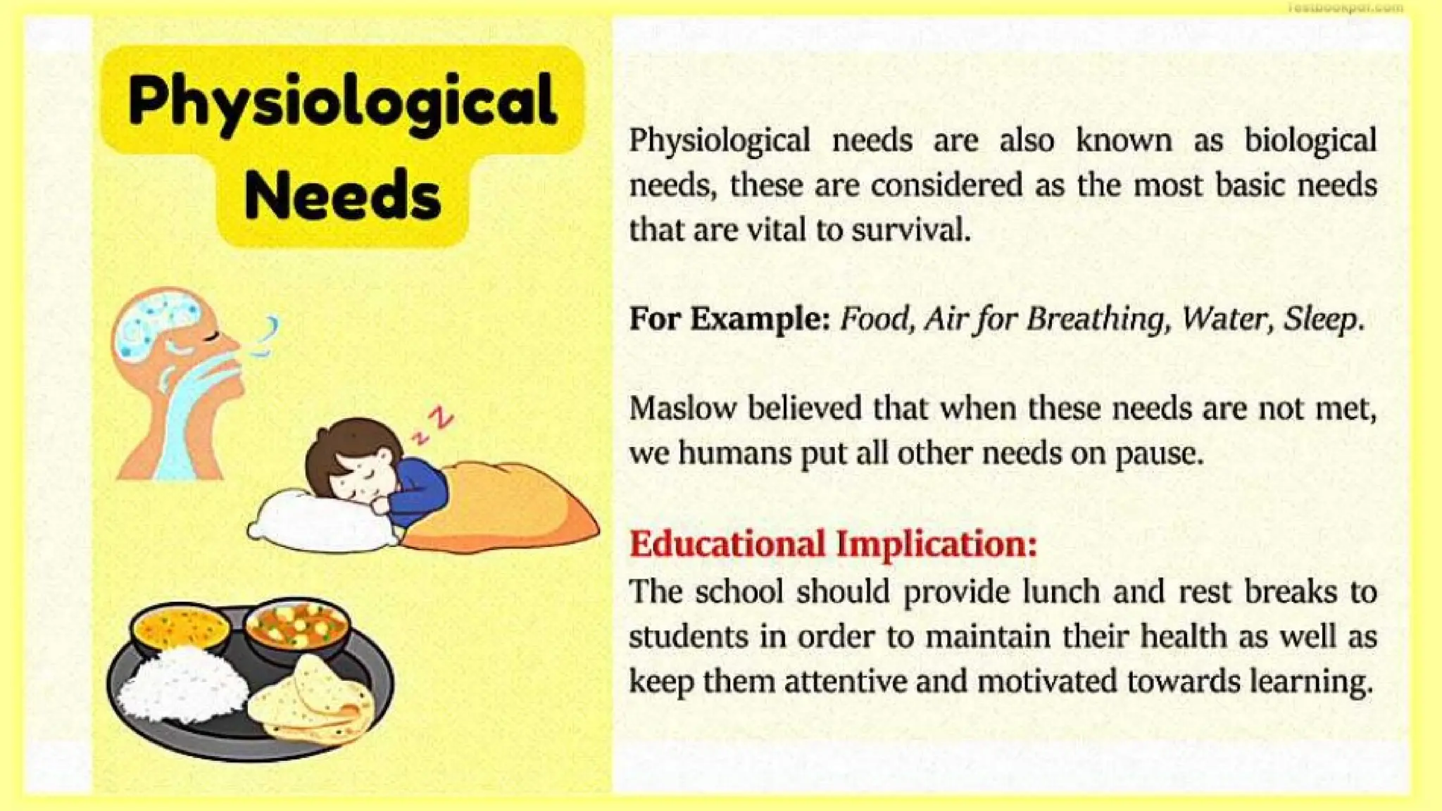HUMAN BASIC NEEDS or Maslow Theory Hierarchy GNM.pptx