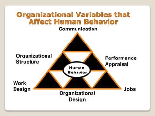Human Behavior in Organization by: Prof. Jenny | PPTX | Business ...