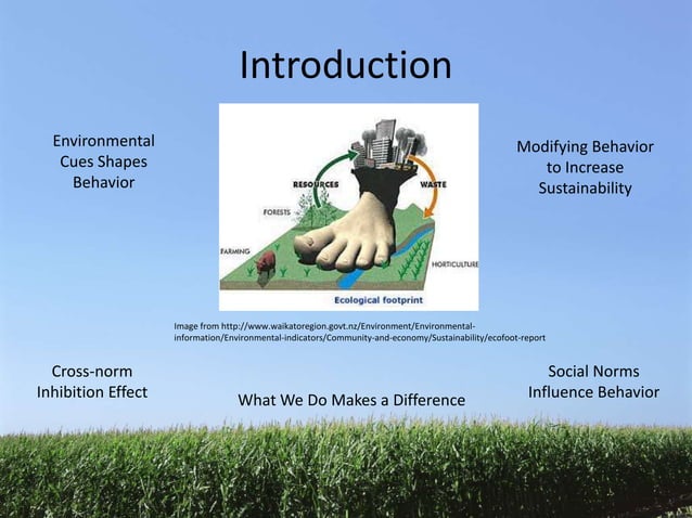 Human Behavior effect on the Environment | PPTX