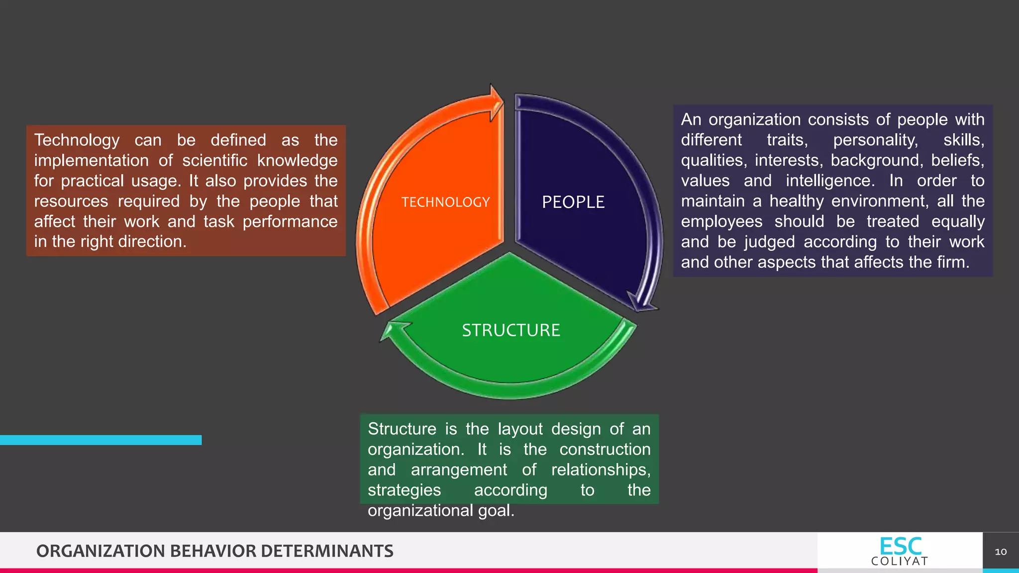 Human Behavior in Organization.pptx
