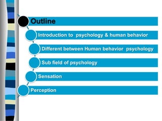 Human behavior ppt by maqsood | PPT | Free Download