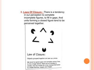 Human behaviour | PPT