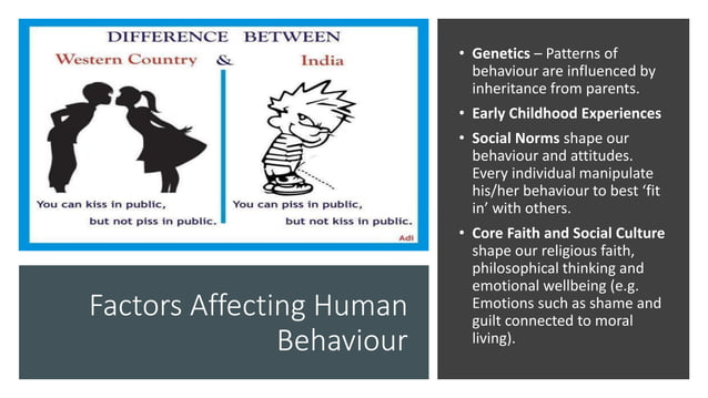 Human behaviour.PPT