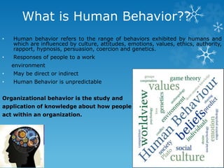 Human behaviour in org | PPT