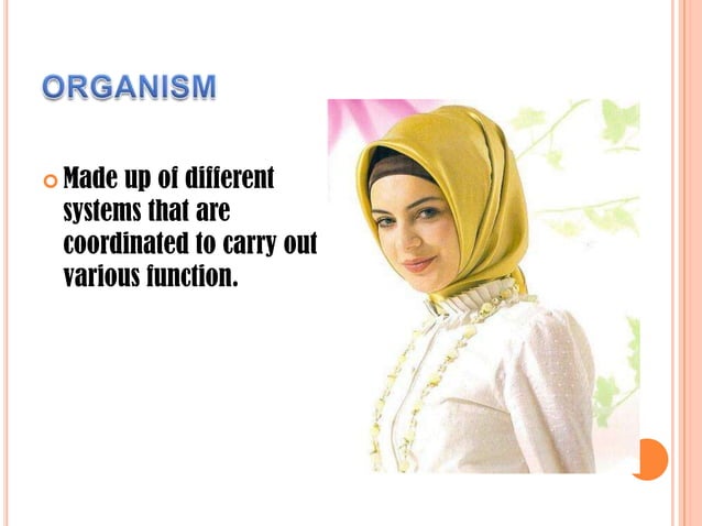 Human beings are complex organisms ppt | PPTX