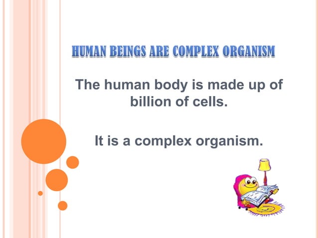 Human beings are complex organisms ppt | PPTX