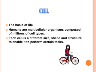 Human beings are complex organisms ppt | PPTX