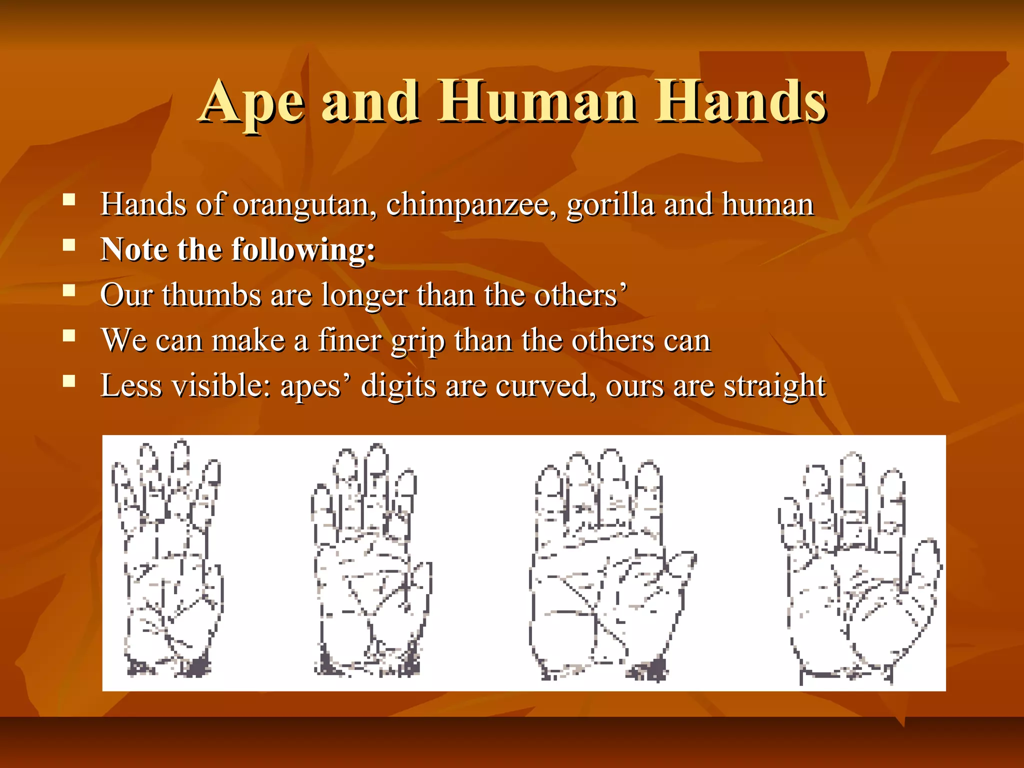 Human biological and cultural evolution | PPT