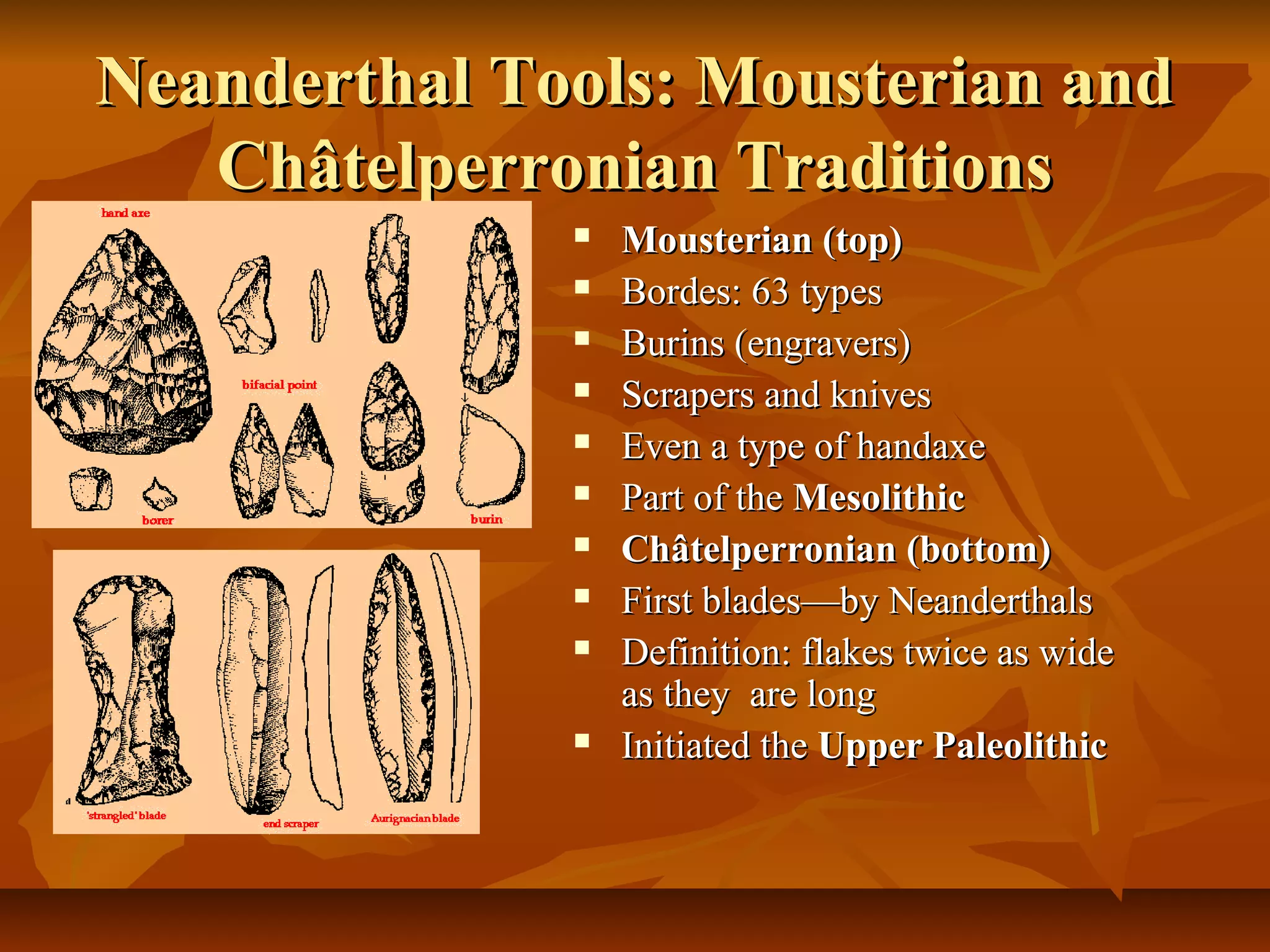 Human biological and cultural evolution | PPT