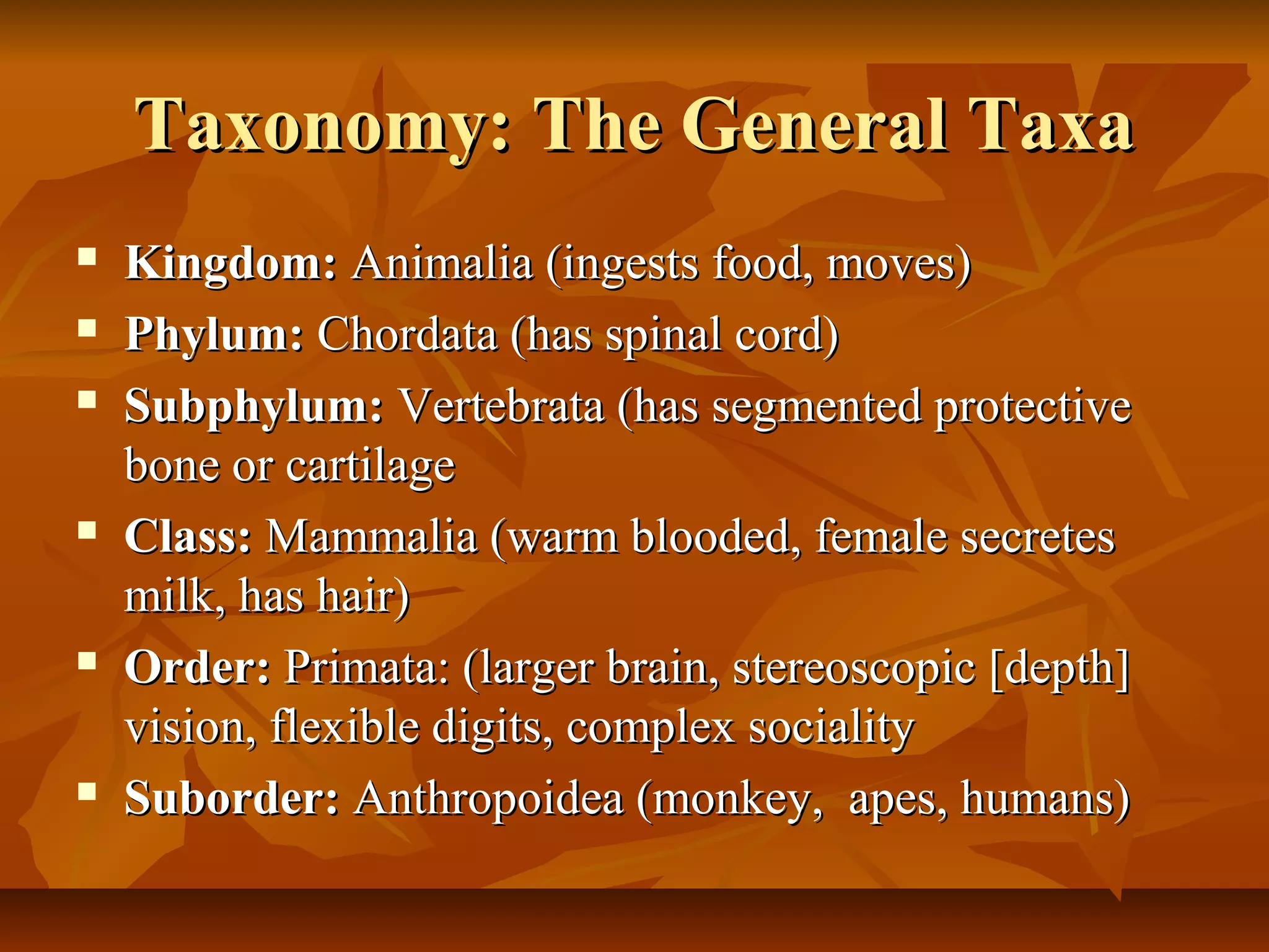 Human biological and cultural evolution | PPT