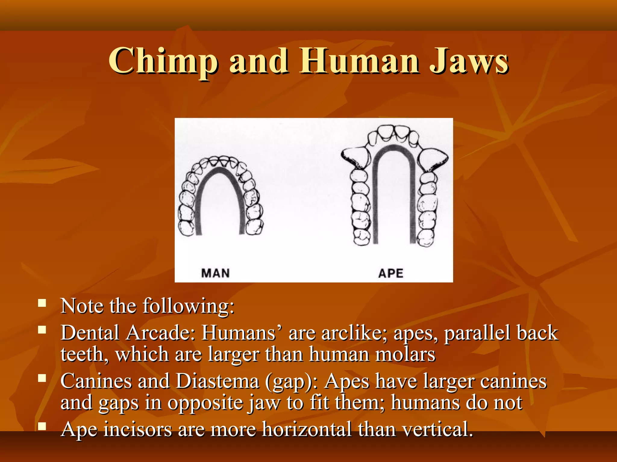 Human biological and cultural evolution 2 | PPT