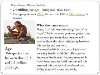 Human biological and cultural evolution 2.pptx | Free Download